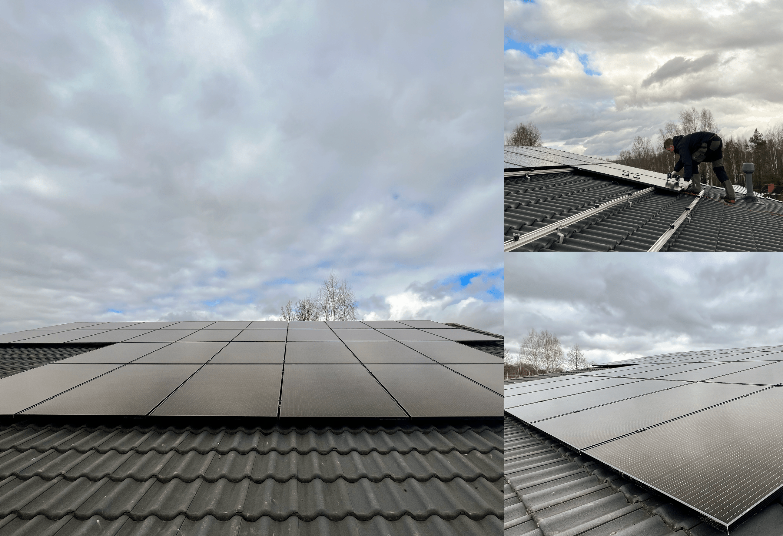 Apie mus - Žalias vatas