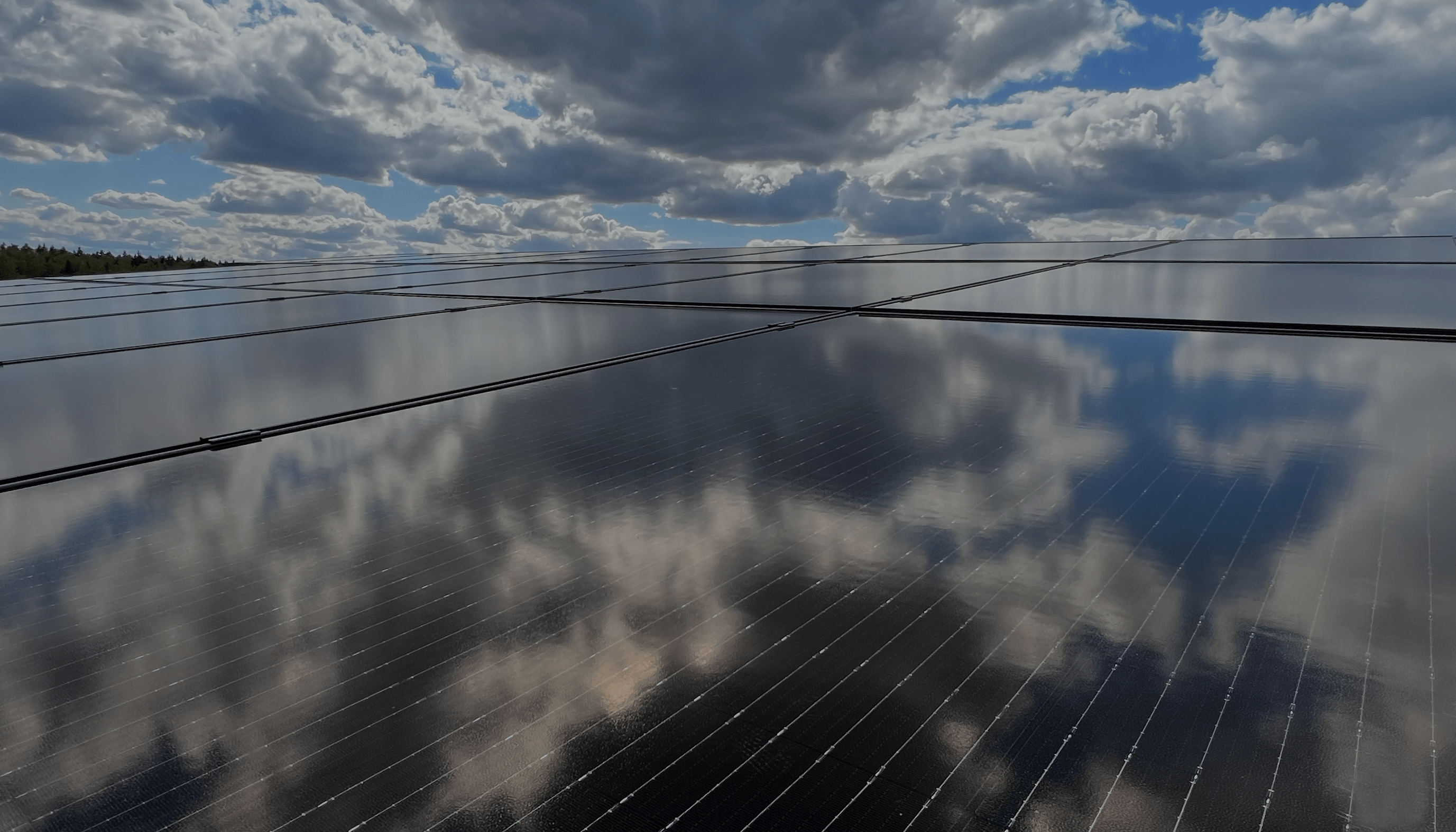 Parama 2024 - Žalias vatas